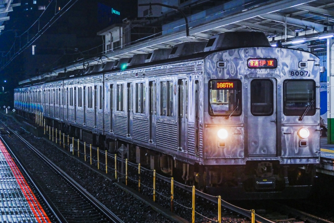 伊豆急行8000系電車 クハ8007 熱海駅 鉄道フォト・写真 by かいきゅーさん | レイルラボ(RailLab)