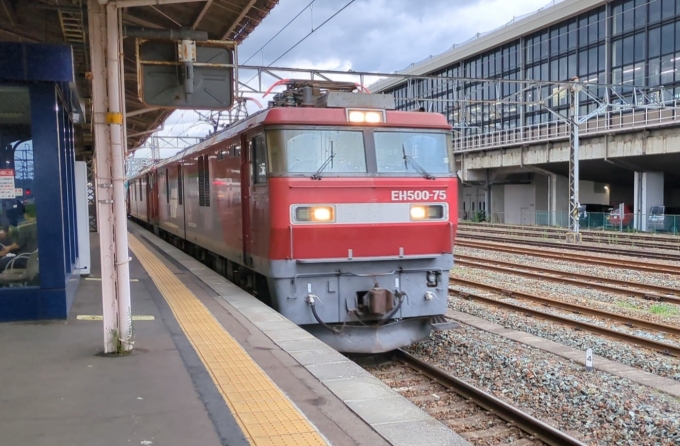 JR貨物EH500形電気機関車 EH500-75 北上駅 鉄道フォト・写真 by ABEさん | レイルラボ(RailLab)