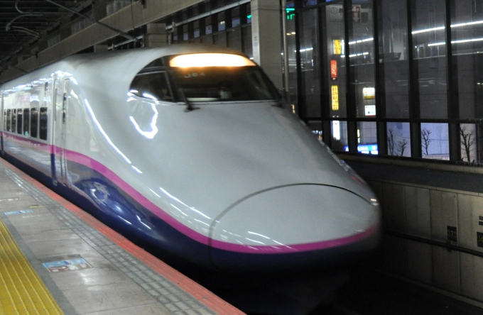 JR東日本 E2系新幹線電車 とき E224-1114 大宮駅 (埼玉県|JR) 鉄道フォト・写真 by ABEさん | レイルラボ(RailLab)