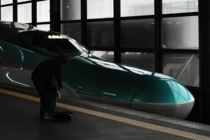 JR東日本 E5系新幹線電車 はやぶさ E514-9 盛岡駅 (JR) 鉄道フォト・写真 by ABEさん | レイルラボ(RailLab)