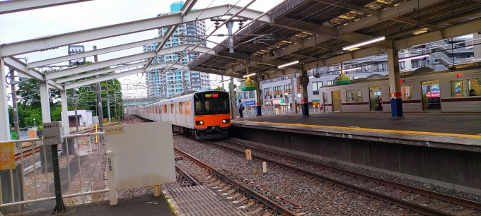 東武鉄道 東武50000系電車 50003 ふじみ野駅 鉄道フォト・写真 by 東武9050型さん | レイルラボ(RailLab)