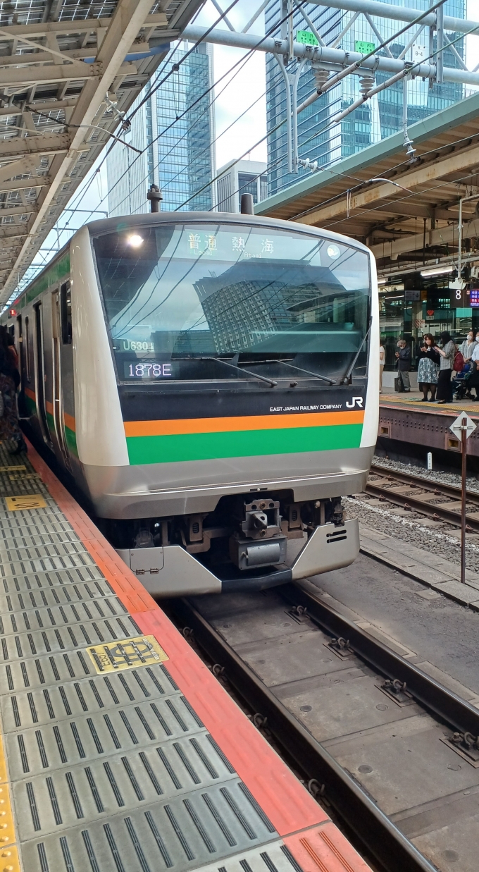 JR東日本E233系電車 クハE233-3030 東京駅 (JR) 鉄道フォト・写真 by K2さん | レイルラボ(RailLab)