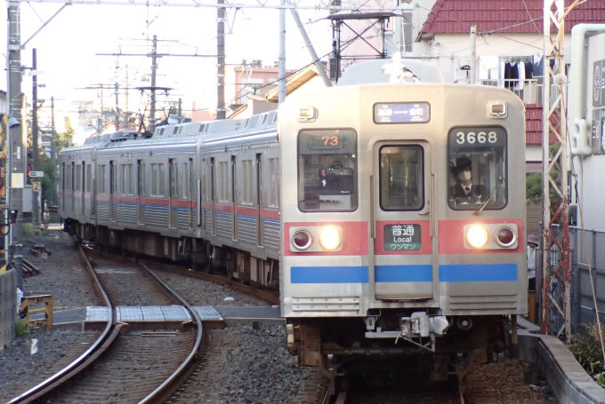 京成電鉄 京成3600形電車 3668 柴又駅 鉄道フォト・写真 by Shibaさん | レイルラボ(RailLab)