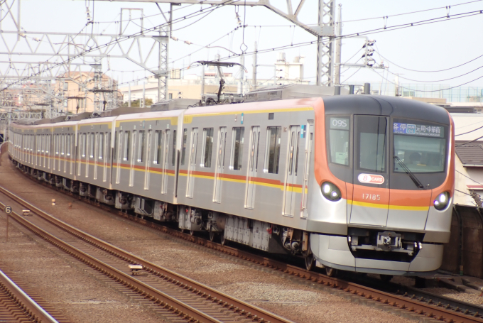 東京メトロ17000系電車 17185 多摩川駅 鉄道フォト・写真 by Shibaさん | レイルラボ(RailLab)