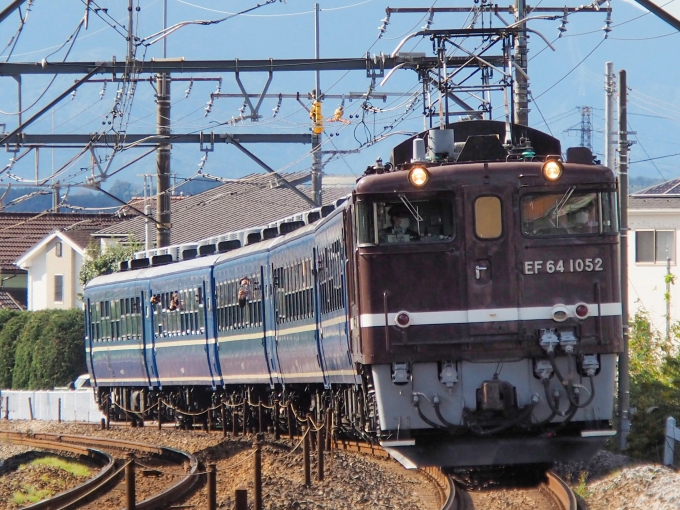 JR東日本 国鉄EF64形電気機関車 ELみなかみ EF64-1052 井野駅 (群馬県) 鉄道フォト・写真 by FM-805Dさん ...