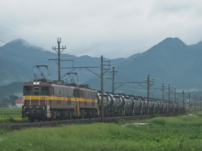 三岐鉄道ED45形電気機関車 ED453 丹生川 鉄道フォト・写真 by FM-805Dさん | レイルラボ(RailLab)