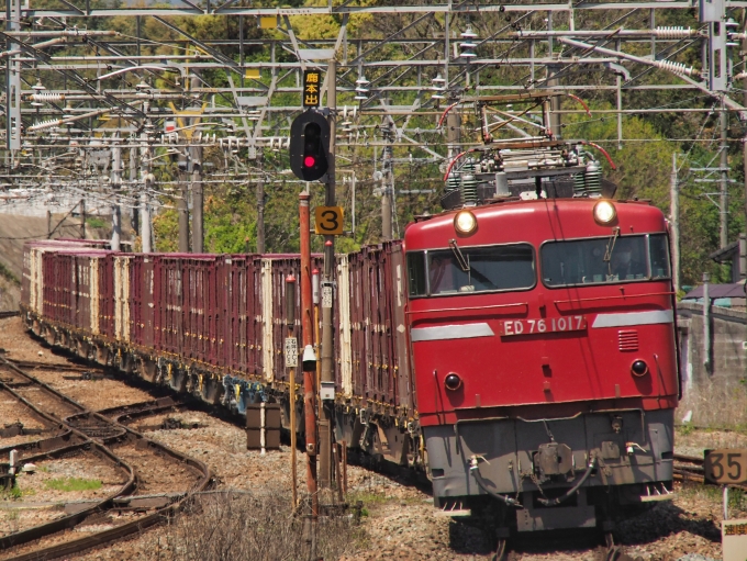 JR貨物 国鉄ED76形電気機関車 ED76-1017 原田駅 (福岡県) 鉄道フォト・写真 by FM-805Dさん | レイルラボ ...
