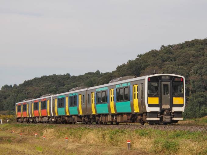 JR東日本キハE130系気動車 キハE131-3 玉川村駅 鉄道フォト・写真 by FM-805Dさん | レイルラボ(RailLab)