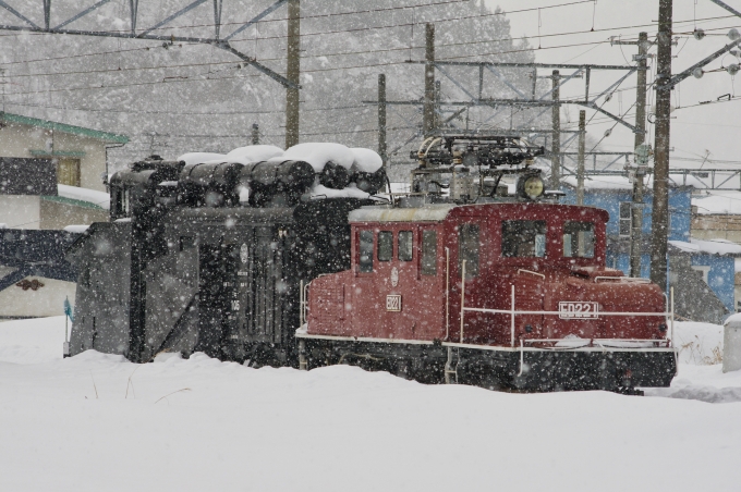 弘南鉄道ED22形電気機関車 ED221 大鰐温泉駅 鉄道フォト・写真 by FM-805Dさん | レイルラボ(RailLab)