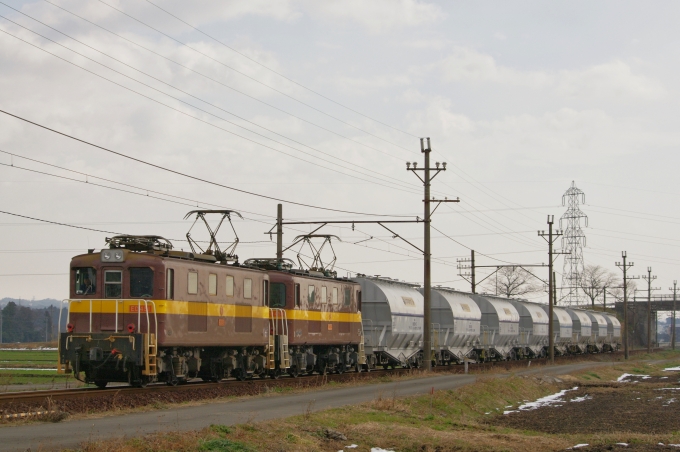 三岐鉄道ED45形電気機関車 ED451 丹生川駅 鉄道フォト・写真 by FM-805Dさん | レイルラボ(RailLab)