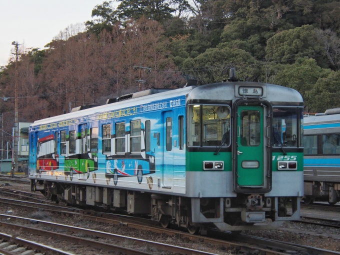JR四国1200形気動車 1255 徳島駅 鉄道フォト・写真 by FM-805Dさん | レイルラボ(RailLab)
