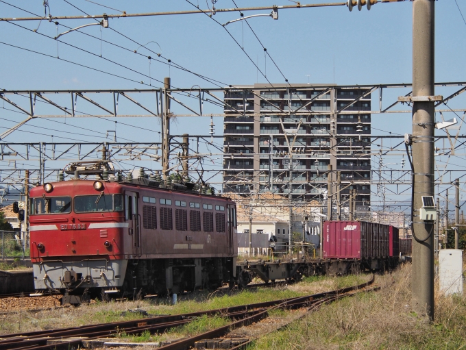 JR貨物 国鉄ED76形電気機関車 ED76-83 鳥栖駅 鉄道フォト・写真 by FM-805Dさん | レイルラボ(RailLab)