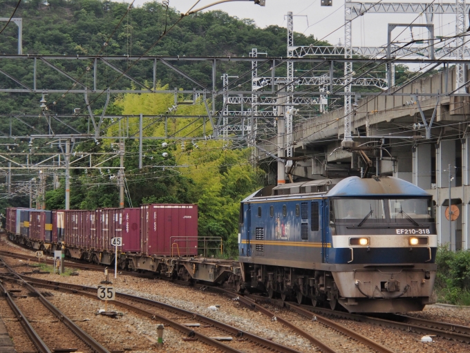 JR貨物EF210形電気機関車 EF210-308 相生駅 (兵庫県) 鉄道フォト・写真 by FM-805Dさん | レイルラボ(RailLab)