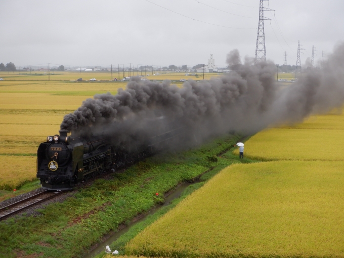 JR東日本 国鉄D51形蒸気機関車 D51 498 小牛田駅 鉄道フォト・写真 by 冷やしブルリさん | レイルラボ(RailLab)