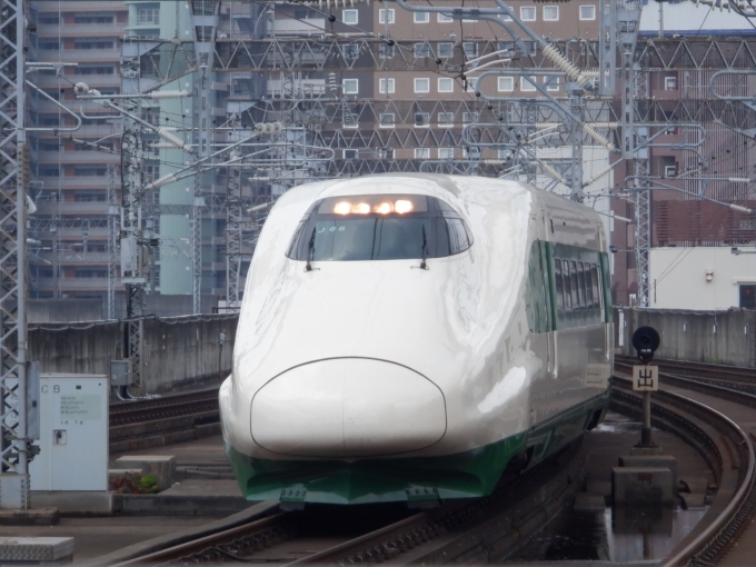 JR東日本 E2系新幹線電車 やまびこ E224-1116 仙台駅 (JR) 鉄道フォト・写真 by 空気輸送ブルリさん | レイルラボ ...