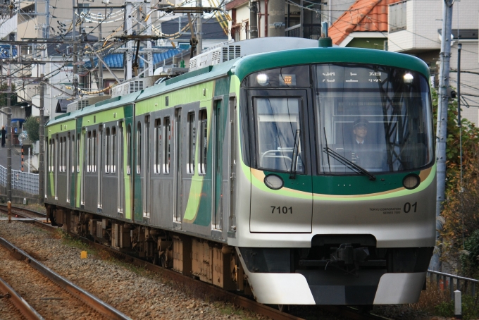 東急電鉄 東急7000系電車(2代) 7101 洗足池駅 鉄道フォト・写真 by ikさん | レイルラボ(RailLab)