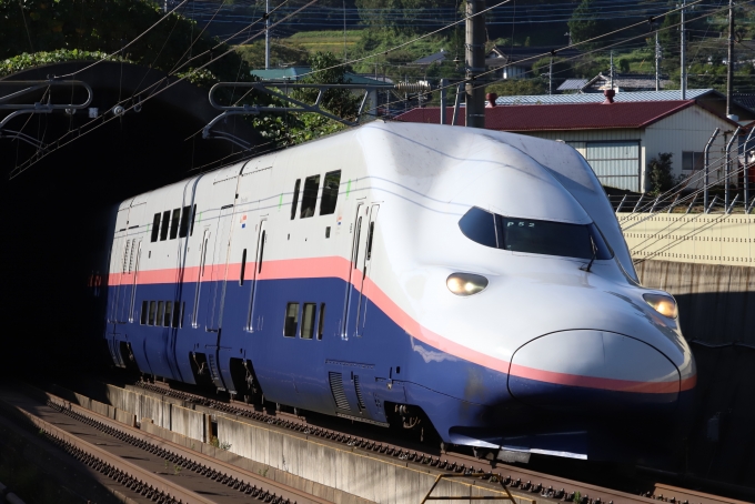 JR東日本 E4系新幹線電車 Maxとき 上毛高原駅 鉄道フォト・写真(拡大) by 立体さん | レイルラボ(RailLab)