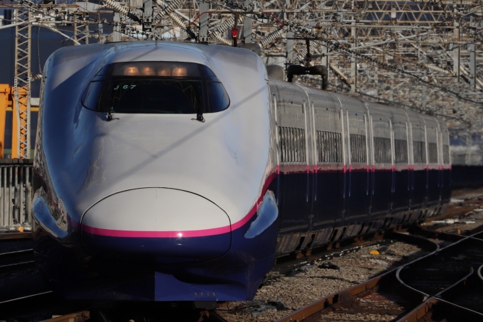 JR東日本 E2系新幹線電車 とき E223-1017 高崎駅 (JR) 鉄道フォト・写真 by 立体さん | レイルラボ(RailLab)