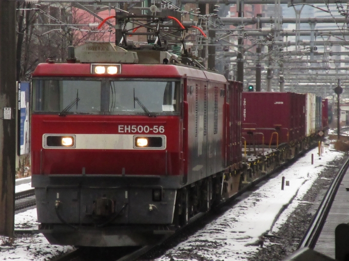 JR貨物EH500形電気機関車 EH500-56 目白駅 鉄道フォト・写真 by 天王寺アイルさん | レイルラボ(RailLab)