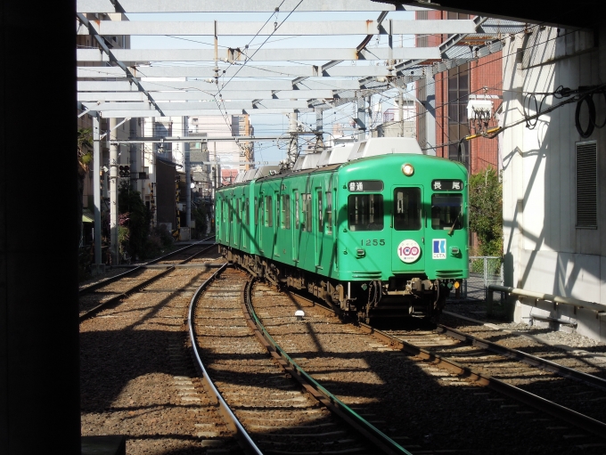 高松琴平電気鉄道 1200形・1250形 1255 瓦町駅 鉄道フォト・写真 by ALPSさん | レイルラボ(RailLab)