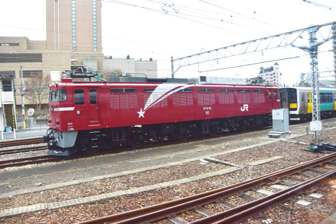 JR東日本 国鉄EF81形電気機関車 EF81 98 水戸駅 (JR) 鉄道フォト・写真 by ALPSさん | レイルラボ(RailLab)