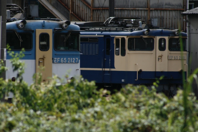 JR貨物 国鉄EF65形電気機関車 新川崎駅 鉄道フォト・写真 by S V Oさん | レイルラボ(RailLab)