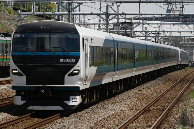 JR東日本E257系電車 踊り子 クハE257-2115 新子安駅 鉄道フォト・写真 by S V Oさん | レイルラボ(RailLab)