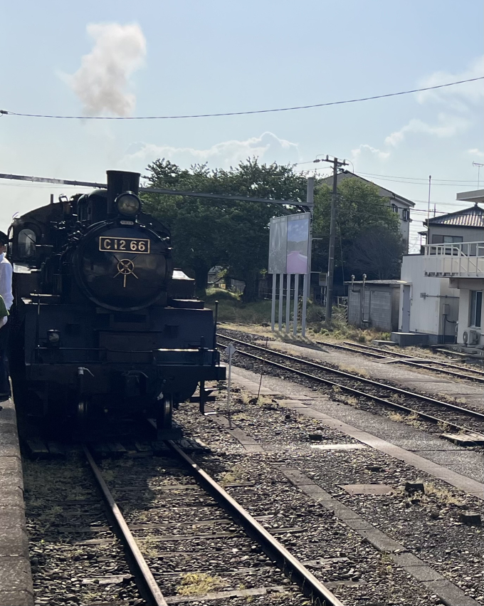 真岡鐵道 国鉄C12形蒸気機関車 C12 66 下館駅 (真岡鐵道) 鉄道フォト・写真 by ハラユカ。さん | レイルラボ(RailLab)