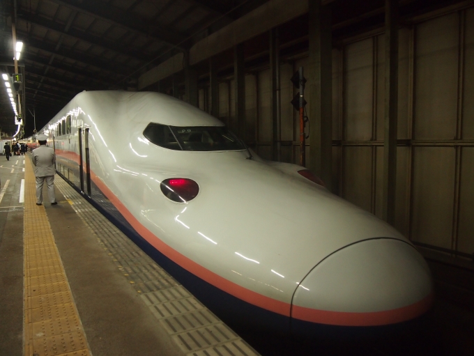 JR東日本 E4系新幹線電車 Maxとき E453-109 新潟駅 鉄道フォト・写真 by HayaKomaさん | レイルラボ(RailLab)