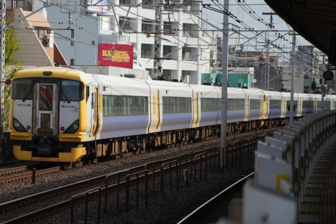 JR東日本E257系電車 クハE256-515 小岩駅 鉄道フォト・写真 by えちぜんさん | レイルラボ(RailLab)