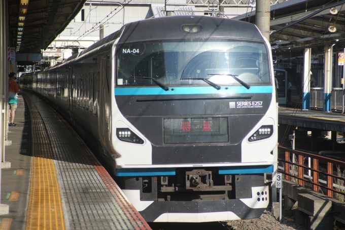 JR東日本E257系電車 えぼし クハE256-2004 藤沢駅 (JR) 鉄道フォト・写真 by えちぜんさん | レイルラボ(RailLab)