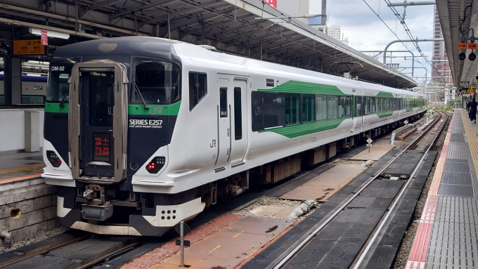JR東日本E257系電車 富士回遊 クハE256-5509 新宿駅 (JR) 鉄道フォト・写真 by えちぜんさん | レイルラボ(RailLab)