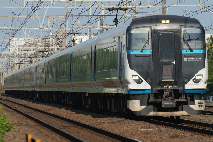 JR東日本E257系電車 湘南 クハE257-2514 藤沢駅 (JR) 鉄道フォト・写真 by えちぜんさん | レイルラボ(RailLab)