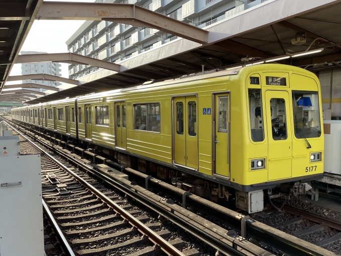 名古屋市交通局5050形電車 5177 上社駅 鉄道フォト・写真 by しらさぎさん | レイルラボ(RailLab)