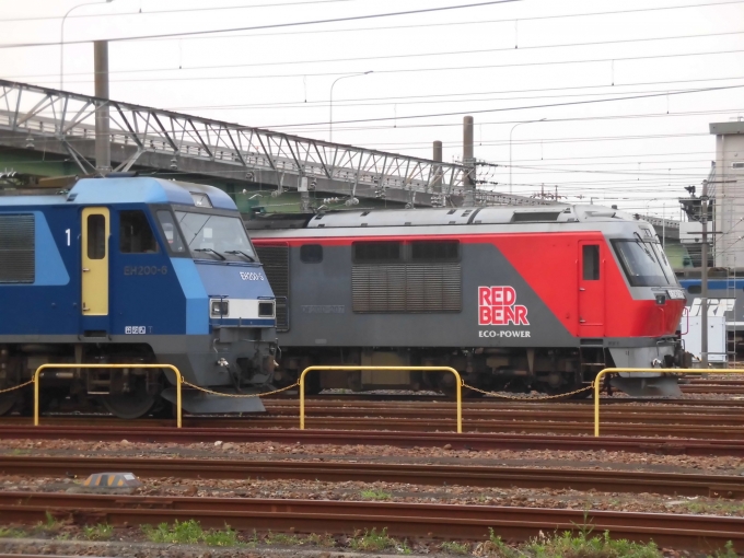 JR貨物 DF200形ディーゼル機関車 DF200-207 稲沢駅 鉄道フォト・写真 by スイさん | レイルラボ(RailLab)