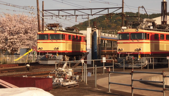 大井川鐵道 大井川鉄道E31形電気機関車 E34 新金谷駅 鉄道フォト・写真 by スイさん | レイルラボ(RailLab)
