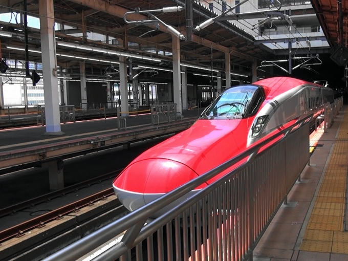 JR東日本 E6系新幹線電車 大宮駅 (埼玉県|JR) 鉄道フォト・写真 by ライトな鉄道好きさん | レイルラボ(RailLab)
