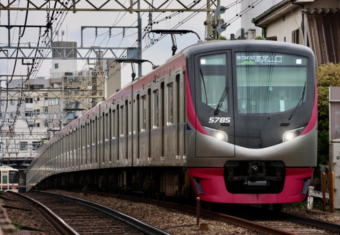京王電鉄 京王5000系電車(2代) Mt. TAKAO 5785 下高井戸駅 (京王) 鉄道フォト・写真 by Maoairさん | レイルラボ(RailLab)