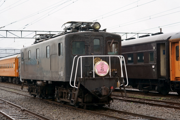 大井川鐵道 大井川鉄道E10形電気機関車 さくら E101 新金谷駅 鉄道フォト・写真 by tchsさん | レイルラボ(RailLab)
