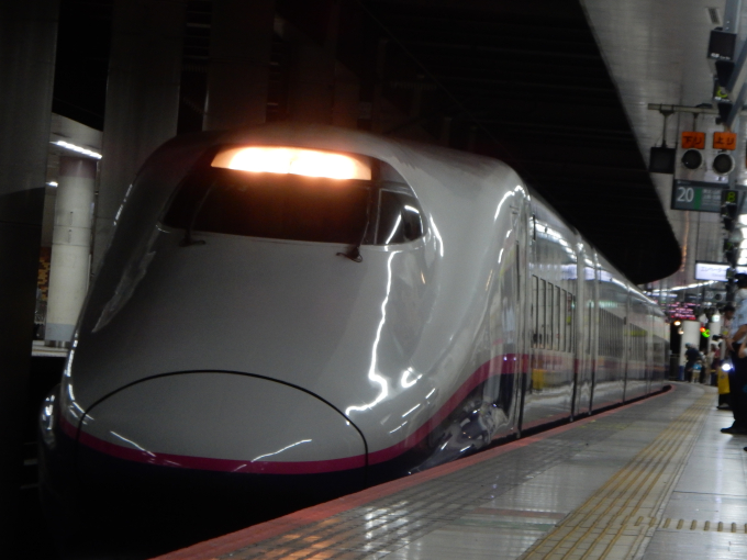 JR東日本 E2系新幹線電車 なすの E224-1124 上野駅 (JR) 鉄道フォト・写真 by おちゃのみずさらささん | レイルラボ(RailLab)