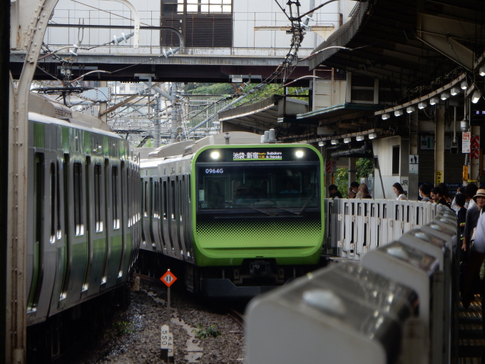 JR東日本E235系電車 クハE234-1 日暮里駅 (JR) 鉄道フォト・写真 by おちゃのみずさらささん | レイルラボ(RailLab)