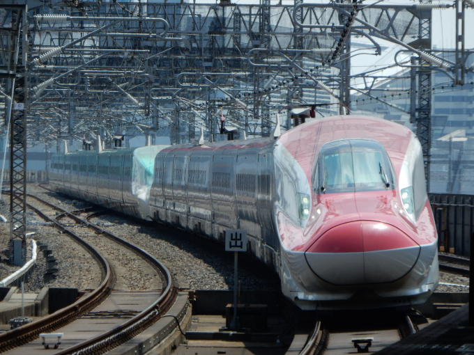 JR東日本 E6系新幹線電車 E621-16 大宮駅 (埼玉県|JR) 鉄道フォト・写真 by おちゃのみずさらささん | レイルラボ(RailLab)