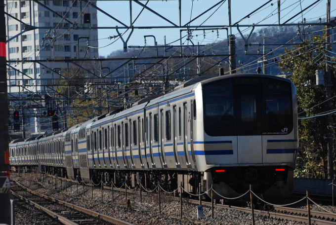 JR東日本E217系電車 クハE216-2022 金手駅 鉄道フォト・写真 by Tetsuotaさん | レイルラボ(RailLab)