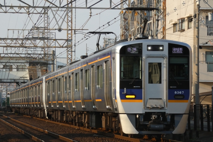 南海電鉄 8367 (南海8300系) 車両ガイド | レイルラボ(RailLab)