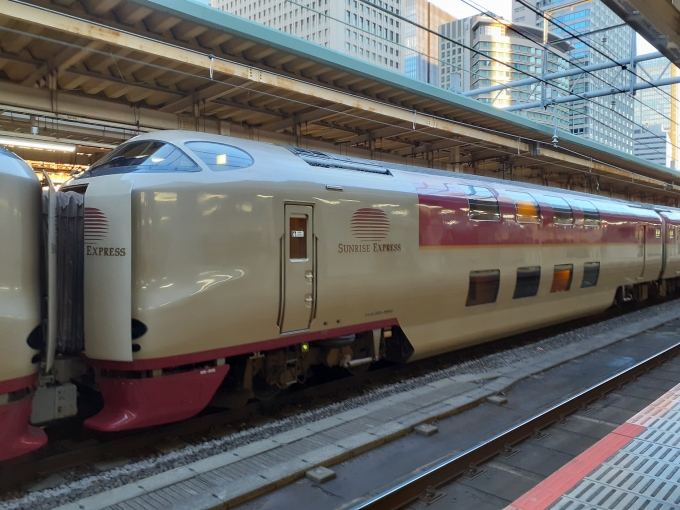 JR東海 285系電車 クハネ285-3002 東京駅 (JR) 鉄道フォト・写真 by トリテツノワグマさん | レイルラボ(RailLab)