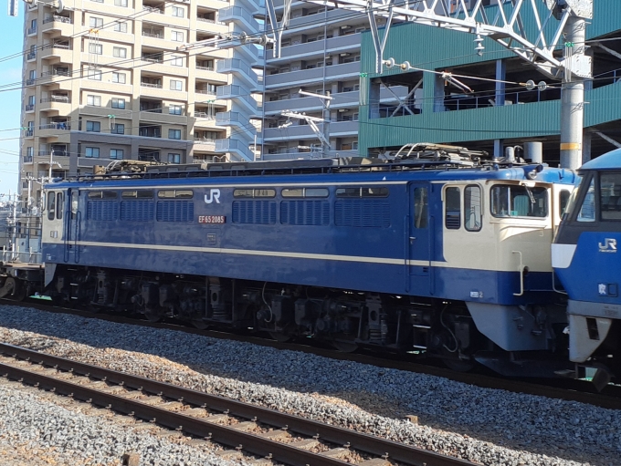 JR貨物 国鉄EF65形電気機関車 EF65 2085 南草津駅 鉄道フォト・写真 by トリテツノワグマさん | レイルラボ(RailLab)
