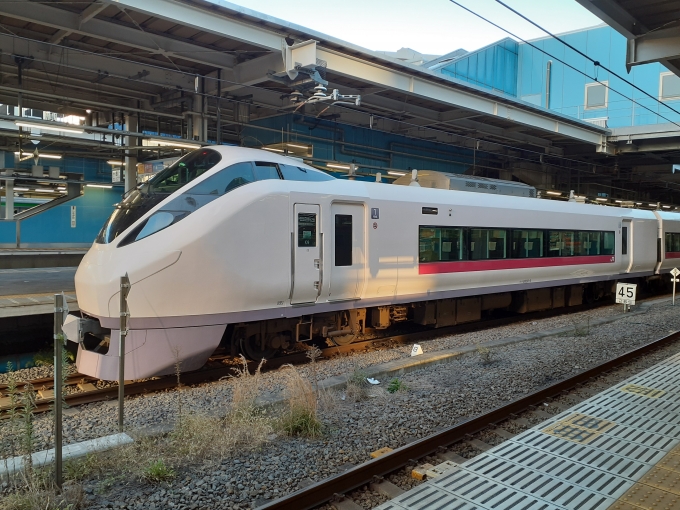 JR東日本E657系電車 ときわ クハE656-9 品川駅 (JR) 鉄道フォト・写真 by トリテツノワグマさん | レイルラボ(RailLab)
