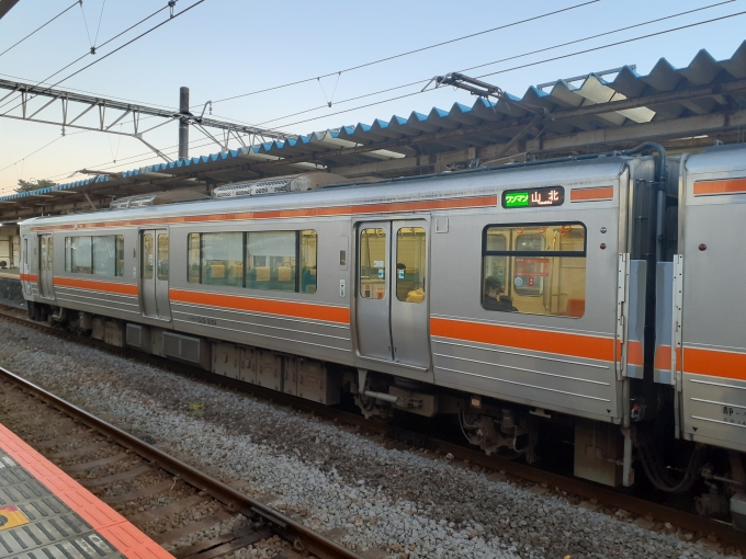 JR東海313系電車 クモハ313-3101 国府津駅 鉄道フォト・写真 by トリテツノワグマさん | レイルラボ(RailLab)