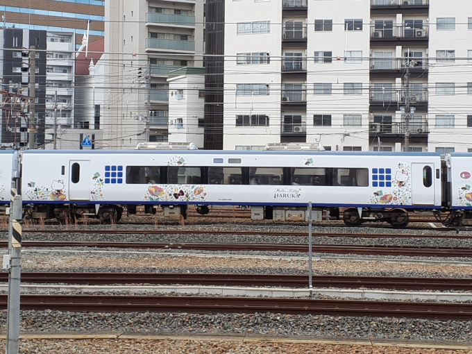 JR西日本281系電車 はるか サハ281-110 新大阪駅 (JR) 鉄道フォト・写真 by トリテツノワグマさん | レイルラボ(RailLab)
