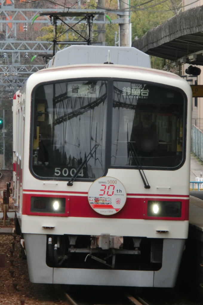 神戸電鉄5000系電車 5003 神鉄六甲駅 鉄道フォト・写真 by (｢`・ω・)｢ ﾇｧｧｧｧ♨️さん | レイルラボ(RailLab)